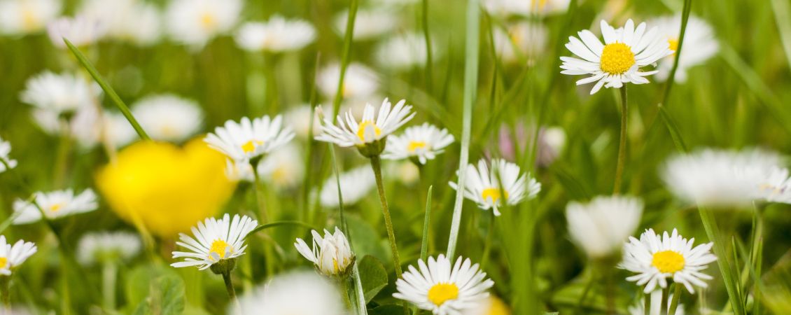 May Day Bank Holiday 2024 Opening & Delivery Times