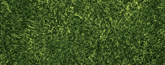 What is FSC? Guide to FSC Certified Paper Printing | instantprint