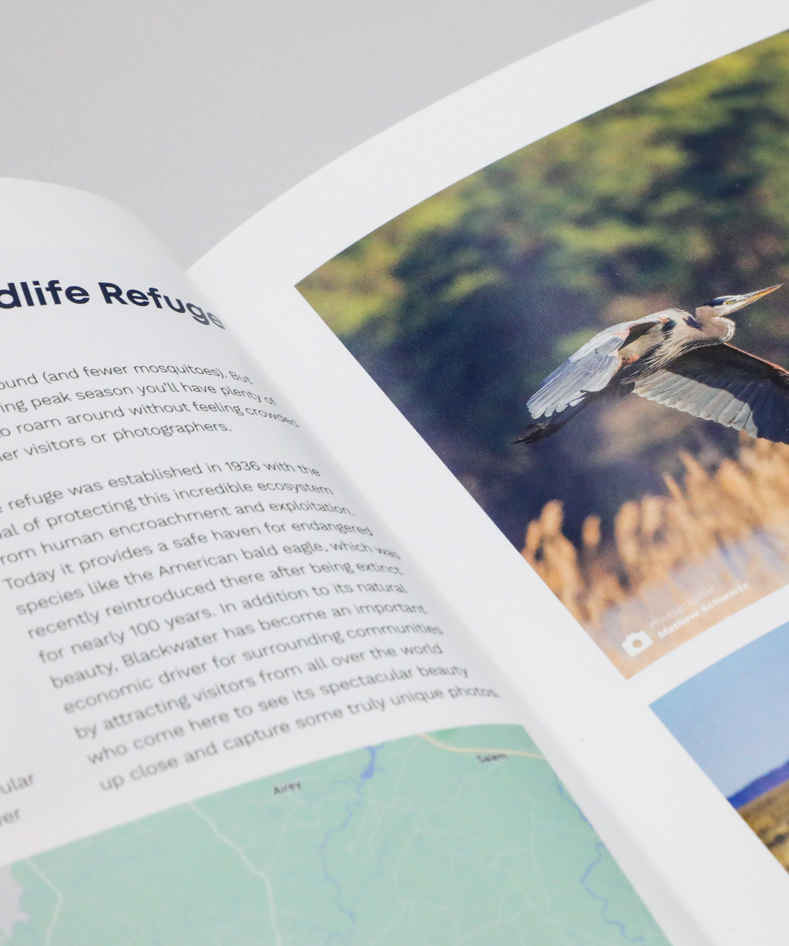 instantprint Book Hub: The Ultimate Destination for High-Quality Books ...